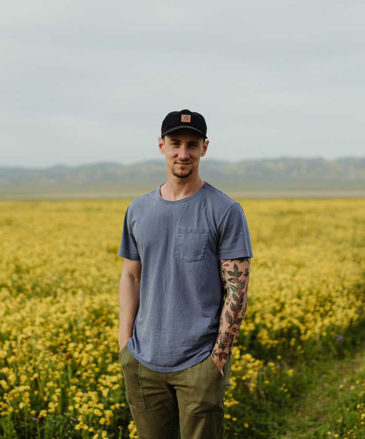 Rainy Palms by Alex Noble – Coastways