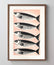 Sardine Blockprint – Coastways
